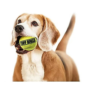 PetSport Tennis Ball Dog Toys | 6 Pack Medium (2.5") Pet Safe Non-Toxic Industrial Strength Felt & Rubber Tuff Balls | Play Fetch, Launch, Chuck or Toss at Dog Park