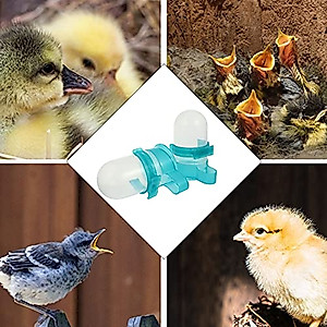 balacoo 2pcs Pigeon Water Feeders Pigeon Water Drinker Automatic Bird Pigeon Feeder Water Dispenser Waterer for Pet Bird Pigeon Parrots Cage Accessories