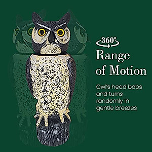 Dalen Fake Owl Decoy to Scare Birds Away from Gardens, Rooftops, and Patios - Scarecrow Provides Chemical-Free Pest Control - Safe and Humane, 18" 360º Rotating Head