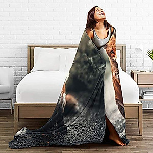 JASMODER Throw Blanket Fox Sitting On Ground Soft Microfiber Lightweight Cozy Warm Blankets for Couch Bedroom Living Room
