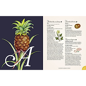 The Complete Language of Food: A Definitive and Illustrated History (Volume 10) (Complete Illustrated Encyclopedia, 10)