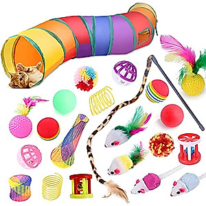 22PCS Cat Toys, Kitten Toy with Collapsible Rainbow Cat Tunnel, Cat Toys for Indoor Cats, Interactive Cat Toy Set Include Crinkle Ball, Variety Jingle Bells, Spring Toy, Mouse Toys for Cats, Kitty