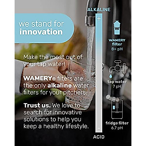 WAMERY Certified Alkaline Water Filter Replacement Fits Brita and Wamery Pitcher Cartridges 3-Pack, Increases Water pH.
