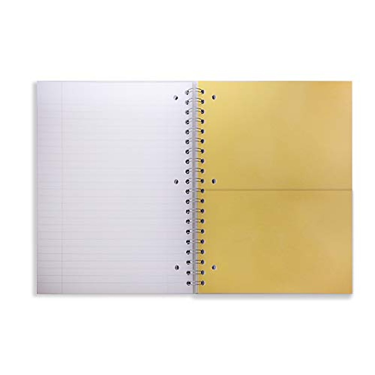 Amazon Basics Wide Ruled Wirebound 3-Subject 150-Sheet Notebook with Pocket Divider - Pack of 6, 10.5 x 8 Inch, Multi-Color