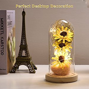 Sunflower Gifts for Women, Sunflowers Artificial Flowers in Glass Dome with LED Strip, Birthday Gifts for Mom & Grandma, Sunflower Decor on Mother's Day, Christmas, Valentine's Day (Yellow)