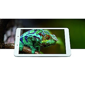 SAMSUNG Galaxy Tab A 8.0-inch Android Tablet 64GB Wi-Fi Lightweight Large Screen Feel Camera Long-Lasting Battery, Silver