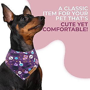 LunaMarie - Luxury Pet Birthday Bandanas -Premium & Silky Poly Fabric | 100% Handmade | Custom Shape Dual Layered (Bewitched, Large)