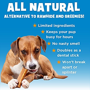 Dinovite YakoSnaks - Himalayan Yak Chews for Dogs - Long Lasting and Low Odor Yak Cheese Dog Chews (Small Dogs)