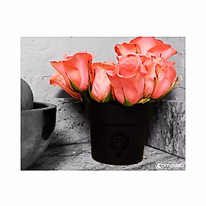 Camasker for Wyze & Roku SE Cam - Cover, Disguise & Camouflage Wyze or Roku SE Camera - Artificial Plant Housing Case for Wyze Cam V3, V2 & Roku SE