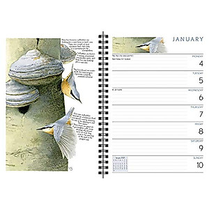Marjolein Bastin Nature's Inspiration 2021 Monthly/Weekly Planner Calendar