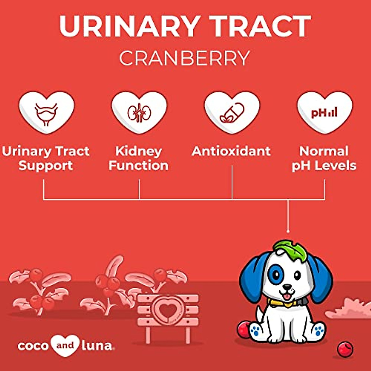 Cranberry for Dogs - 120 Chewable Tablets - Urinary Tract Support, Bladder Support for Dogs, Dog UTI, Bladder Stones, Dog Incontinence Support, Cranberry Supplement for Dogs