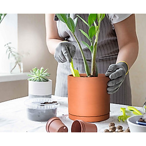 D'vine Dev Medium 8 Inch Terracotta Plant Pot with Drainage Hole and Saucer, Round Cylinder Planter Pot for Indoor Plants, 40-X-A-4