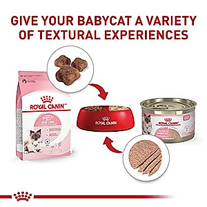 Royal Canin Feline Health Nutrition Mother & Babycat Ultra Soft Mousse in Sauce Canned Cat Food, 3 oz cans 6-pack