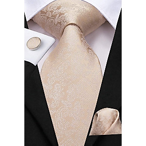 Hi-Tie Champagne Khaki Tie Paisley Silk Mens Neckties with Pocket Square Cufflinks for Wedding Business Party
