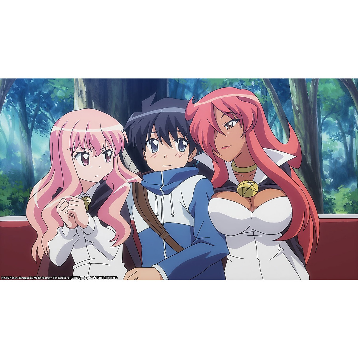 FAMILIAR OF ZERO COMPLETE COLLECTION/BD