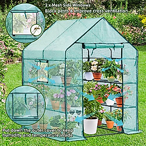 Greenhouse for Outdoors with Screen Windows, Ohuhu Walk in Plant Greenhouses Heavy Duty with Durable PE Cover, 3 Tiers 12 Shelves Stands 4.8x4.8x6.3 FT Plastic Portable Green House with Shelf Clips