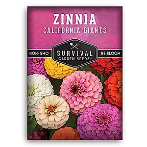 Survival Garden Seeds - California Giants Zinnia Seed for Planting - Packet with Instructions to Plant and Grow Zinnia Elegans Plants in Your Home Vegetable Garden - Non-GMO Heirloom Variety
