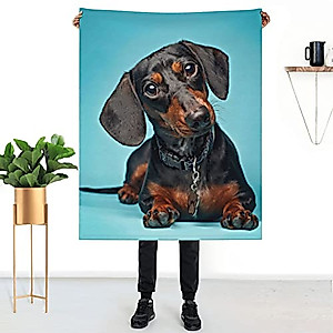 DOINBEE Dachshund Dog Blanket Dachshund Gifts Cute Black Dog Animal on Blue Throw Blankets for Men Women Fluffy Fleece Flannel Soft Cozy Sofa Chair Bed Couch Blanket Decor Travel Quilts 60"x50"
