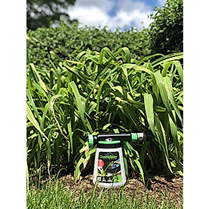 RL FLOMASTER 36HE6 RL Flo-Master Chameleon Hose End Sprayer, Natural