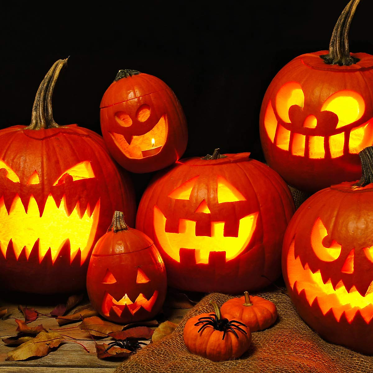 Unomor Halloween Pumpkin Carving Tools Kit, 15 PCS Professional Pumpkin Carving Set Includes Wooden Sculpture Knife Saw Marker for Halloween Pumpkin Decoration, Easily Carve Jack-O-Lantern