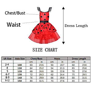 Oilzorr Ladybug Dress Costume for Girls with eye mask and Bag for Birthday Gifts Halloween Christmas 3Pcs Sets(2-4/100)