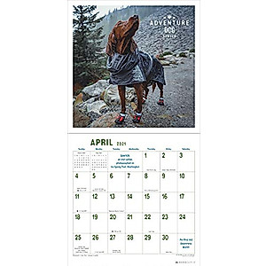 Adventure Dogs 2021 Calendar