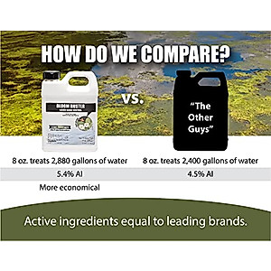 Bloom Buster Algae Control for Fish Ponds & Water Gardens - 32 Ounces - Safe for Koi Fish, Goldfish & Plants - Controls Algae in Ponds & Water Features, EPA Registered