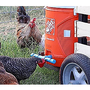 DoubleWood Fully Automatic Poultry Drinking Machine Chicken Drinking Cup, Chicken Drinking Watering Cups/Poultry Drinking Machine (24)