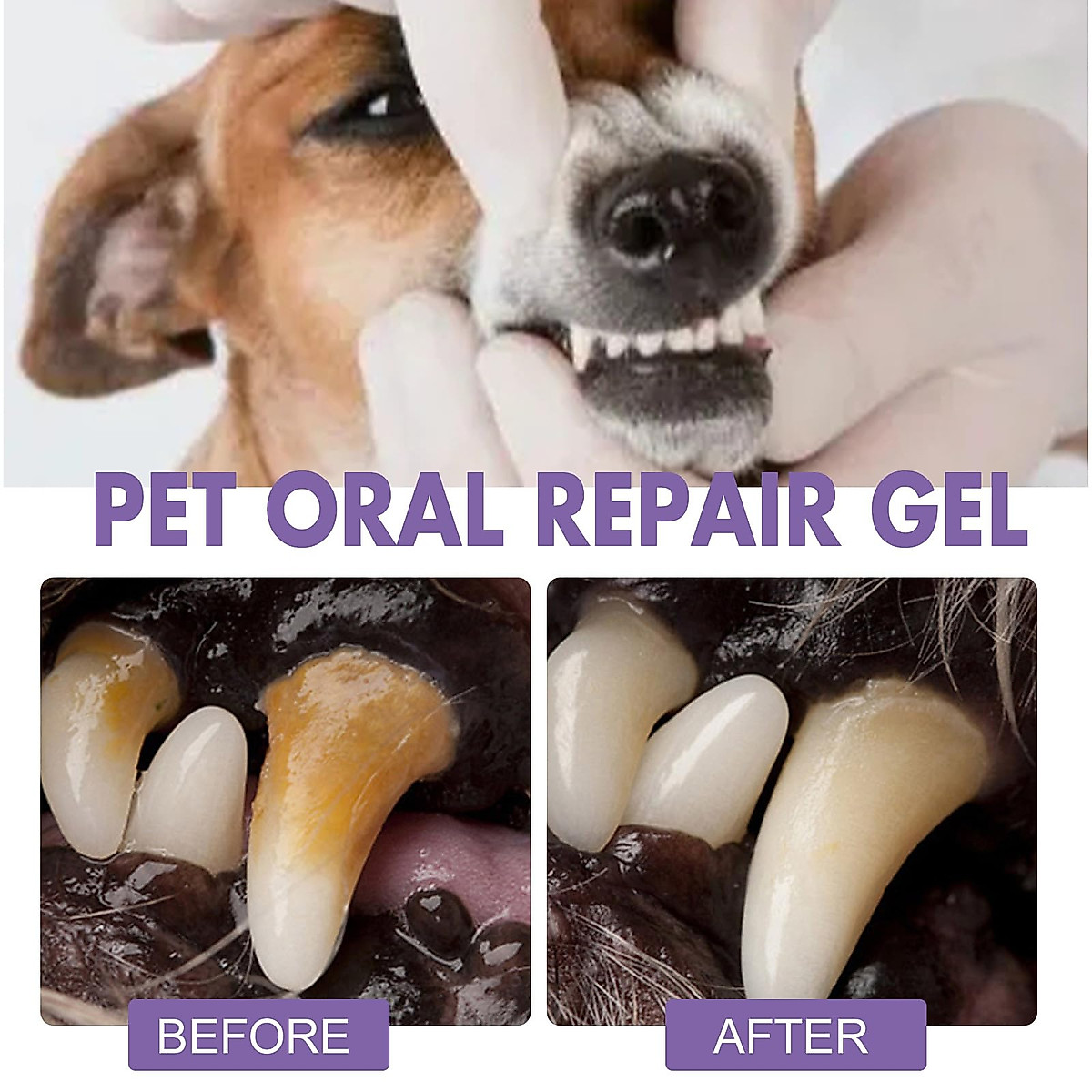 Pet Oral Repair Gel, Pet Oral Repair Gel for Dogs, Pet Oral Restoration Whitening Gel, Pet Teeth Whitening Pen, Pet Breath Freshener Gel for Dogs, Targets Tartars-Without Brushing (6PCS)