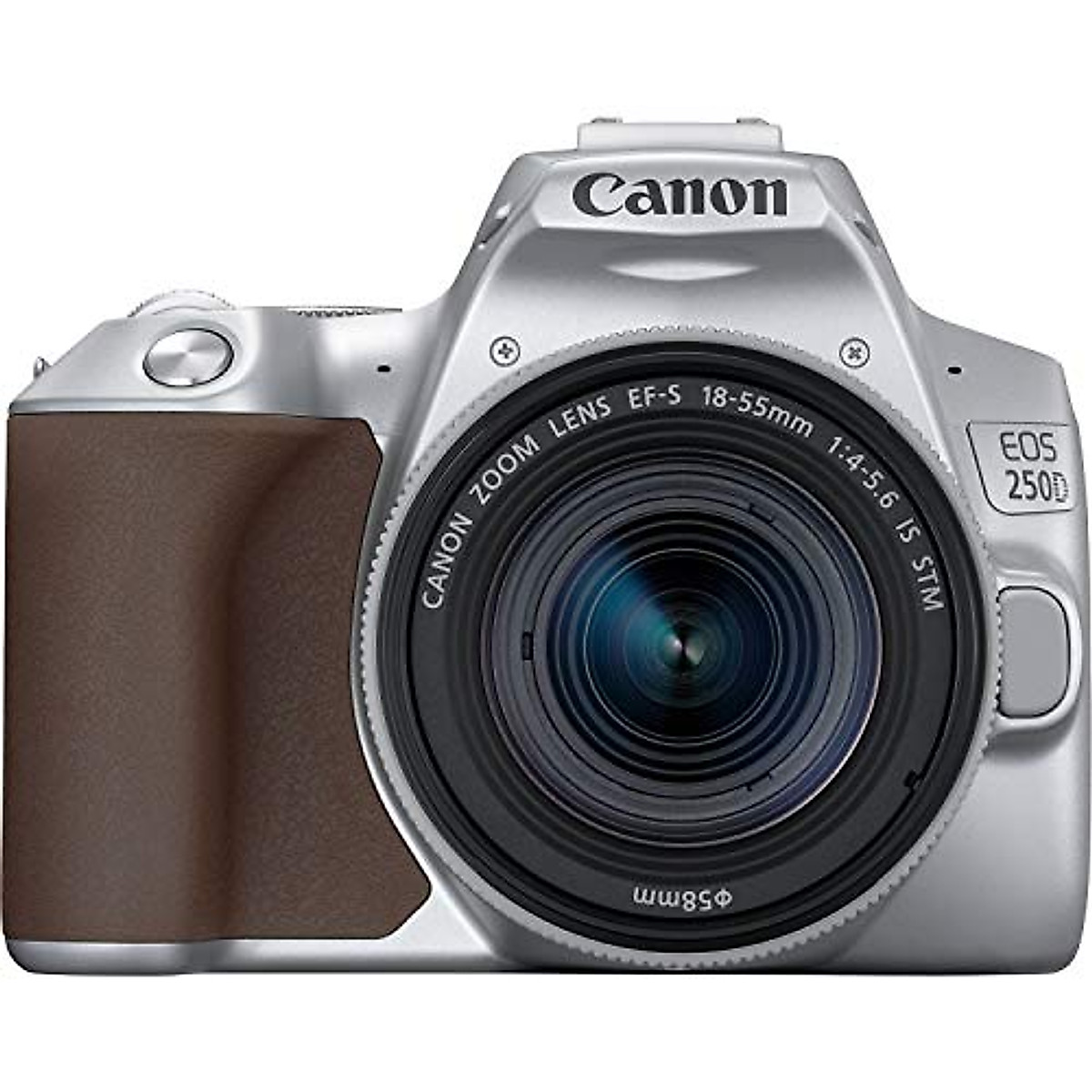 Canon EOS 250D (Rebel SL3) DSLR Camera w/ 18-55mm is STM Lens (Silver) (International Model)