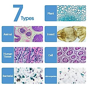 120 Microscope Slides with Specimens for Kids, Prepared Microscope Slides for Kids Microbiology, Prepared Microscope Slides for Adults