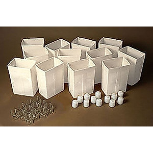 FLIC Electric Luminaria Light Set - Hard Plastic Reusable Luminary Outdoor Pathway Lights - Weather Proof - Compatible w/ Rc Luminary Sleeves (White)