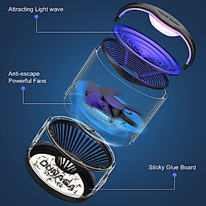 du Fly Traps Indoor, Fruit Fly Trap Indoor, Gnat Traps, Bug Zapper Indoor,Mosquito Traps with 10 Sticky Glue Boards, Black