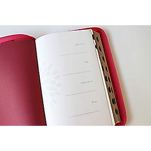 Biblia Reina Valera 1960 letra grande. Símil piel fucsia, cremallera, índice, ma nual / Spanish Bible RVR 1960. Handy Size, Large Print, Leathersoft