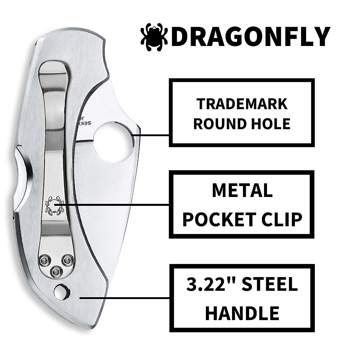 Spyderco Dragonfly Signature Knife with 2.32" VG-10 Steel Blade and Durable Stainless Steel Handle - PlainEdge - C28P