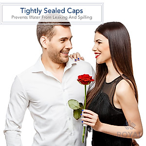 Royal Imports Floral Water Tubes/Vials for Flower Arrangements, Clear - 3" (1/2" Opening) - Standard - 25/Pack - w/Caps