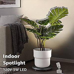 SUNVIE 2 Pack LED Up Lights Indoor Plant Spotlight, Accent Lights for Indoor Use Uplight, Warm White Floor Spotlight Lamp, 120V Spot Lights for Uplighting Accent Lighting, 5.9 FT Cord with Foot Switch