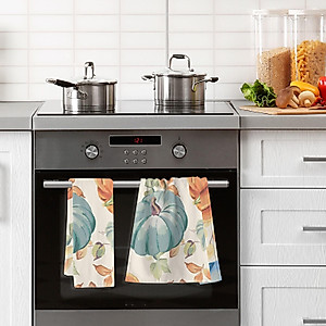 ALAZA Fall Pumpkins Hand Towels for Bathroom Set of 2 Soft Absorbent Cotton Bath Towels Decorative Face Towel 16" X 28"