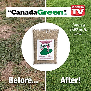 Canada Green Grass Seed - 6 Pound Bag