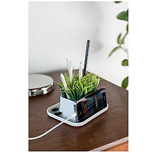 Kikkerland Potted Pen Phone Stand (SC25)