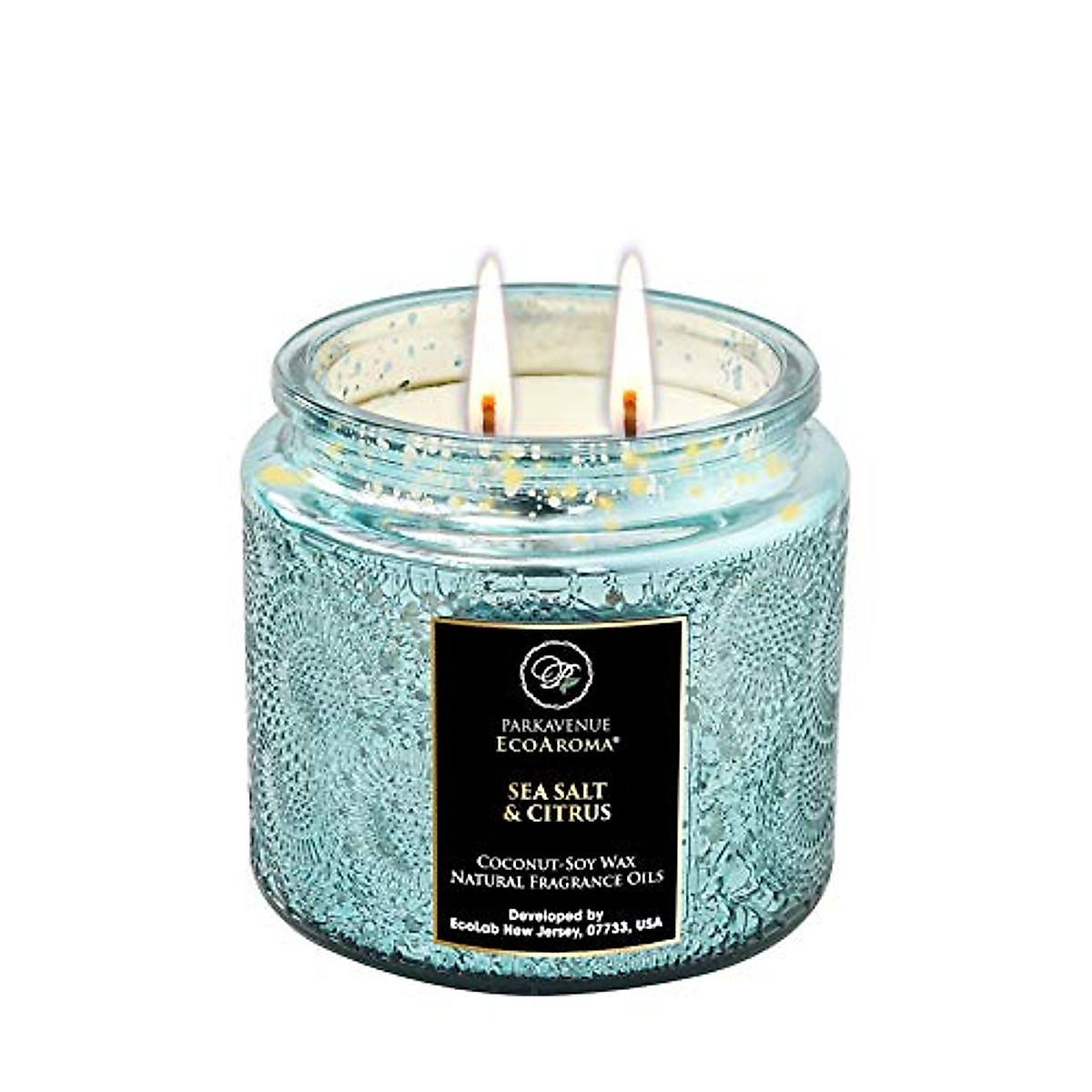 EcoAroma Sea Salt & Citrus Scented Organic Coco-Soy Jar Candles Hand Poured Natural Flower Extracted Fragrance Oils Botanical Candles for Aromatherapy Home Scent & Xmas Gifts 12 Oz