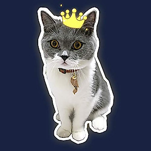 ICICECREAM 2 PACK Breakaway Cat Collar with Bells & Koinobori Japanese Cat Collar Soft Adjustable Cotton & Leather Kitten Collars for Girl Boy Male Female Cats Kitten