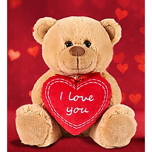 BRUBAKER Teddy Bear with Red Heart - I Love You - 9.84 Inches - Cuddly Plush Toy - Stuffed Animal - Brown