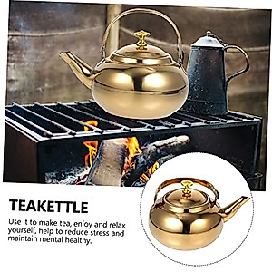 1pc Stainless Steel Exquisite Pot Water Kettle Portable Stove Coffee Pot Portable Espresso Machine Household Teakettle Portable Heater Gas Practical Tea Kettle Portable Teakettle PAMINGONO