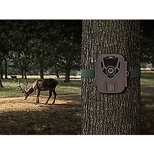 Coleman CHD200 1080p HD Xtreme Trail Camera