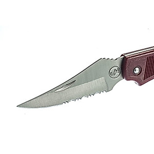 SE Assorted Color Mini Pocket Knife Keychains (6 PC.) - KVS2101-36-6