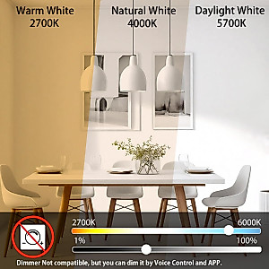 ILC G120 LED Large Globe Light Bulbs 15W, Work with Alexa Required Echo Device, Φ4.72 inch, Color Changing, CCT Color Temprature Turnable 2700K-6000K, CRI>95+, 150W Equivatlent, E26 Base (2 Pack)