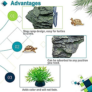 Tfwadmx Turtle Basking Platform Tortoise Dock Resin Resting Rock Aquatic Habitat Accessories Aquarium Landscape Decoration for Frogs, Newts, Salamanders, Reptiles(L)