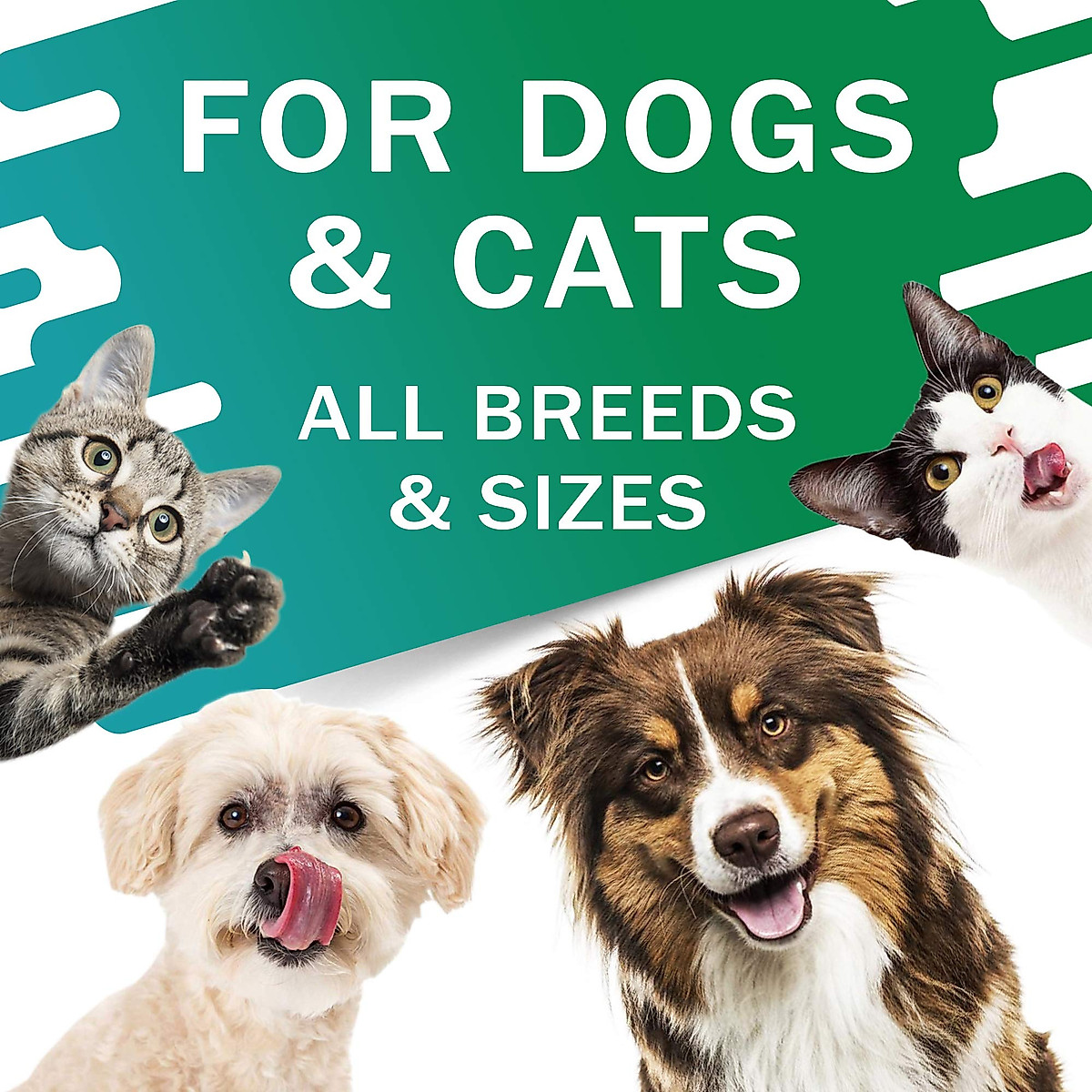 Liver Support Supplement for Dogs & Cats - Milk Thistle Liver Support - Canine Hepatic Care - Cat & Dog Liver Cleanse - Max Effect Liquid Drops