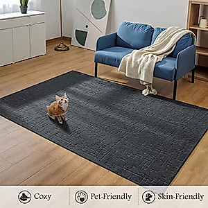 Area Rug-5x7 Rug for Living Room Contemporary Durable Carpet-Washable Rug Suitable for Living Room Bedroom Dinning Room Laundry Room Study Room